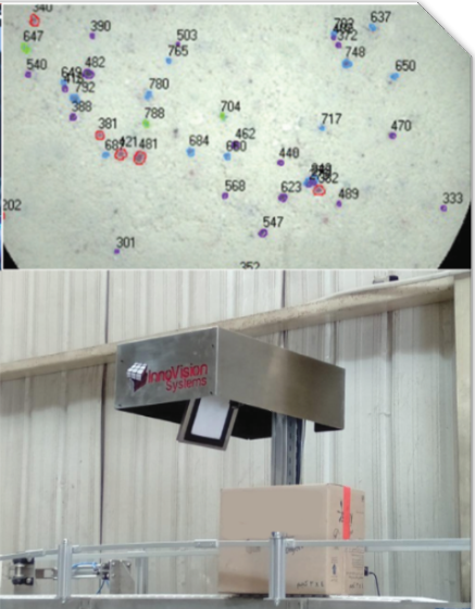 Vision Based Inspection & Classification - ENDEMAJ
